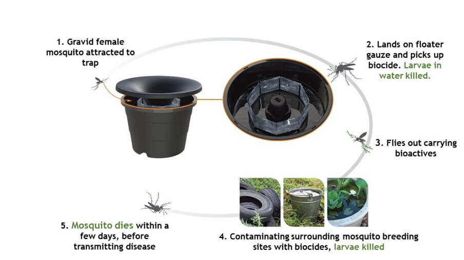 Get Mosquitoes Under Control This Summer with In2Care Systems