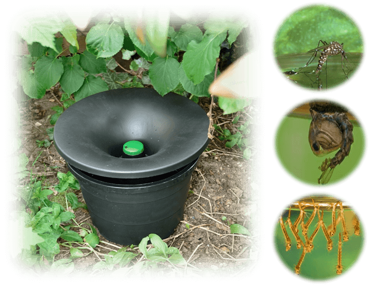Get Mosquitoes Under Control This Summer with In2Care Systems