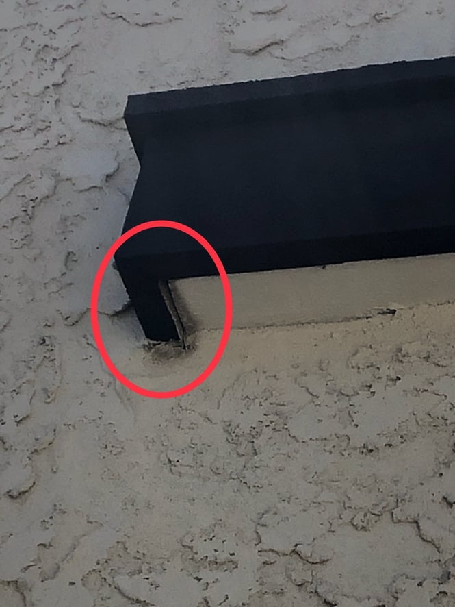 How to Identify the Difference Between Bee Swarms and Bee Hives